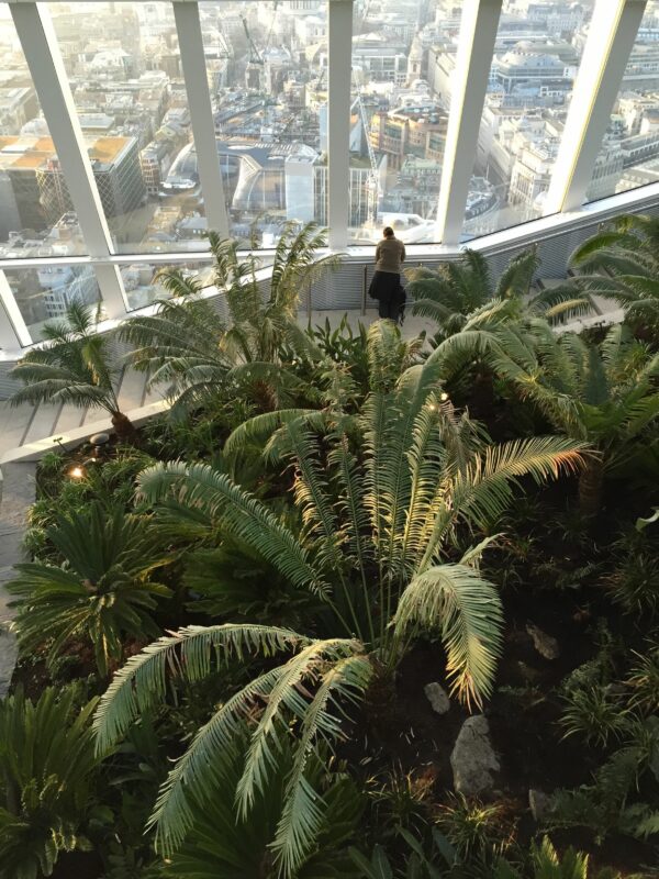 8 Glasshouses to visit in London and why | Jack Wallington | Nature ...