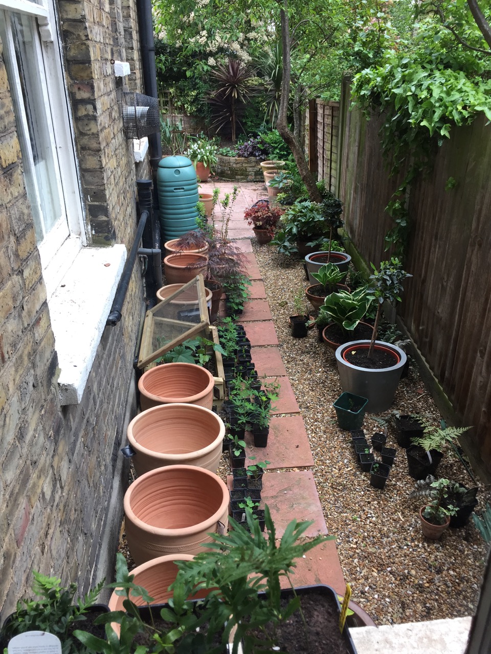 jack-wallington – 42 (1) | Jack Wallington | Nature & Gardens