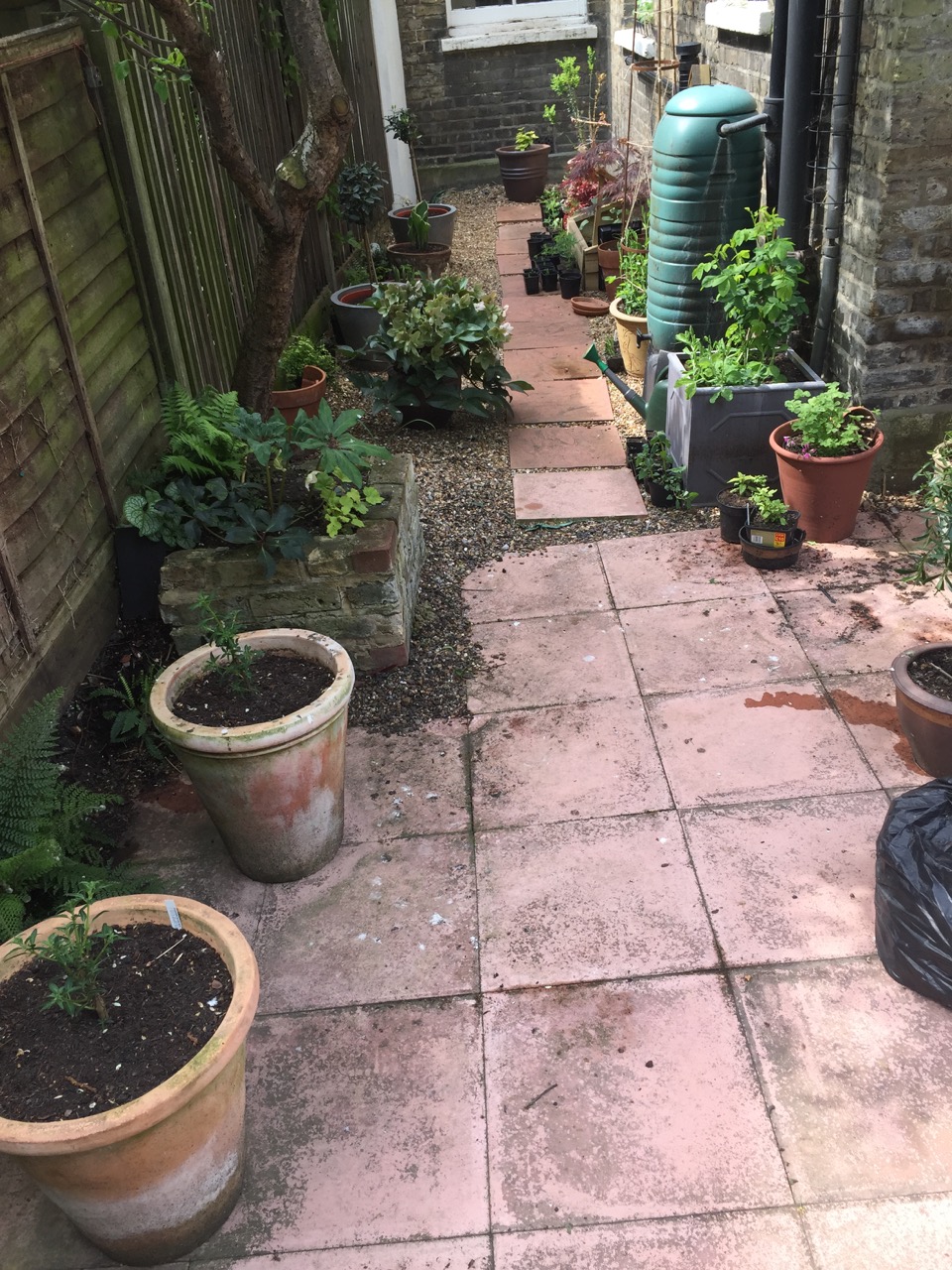 jack-wallington – 50 (1) | Jack Wallington | Nature & Gardens