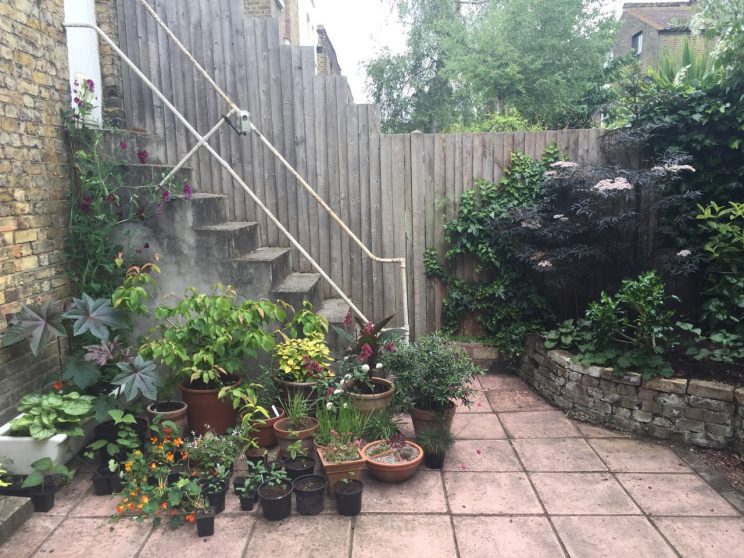 jack-wallington – 86 (1) | Jack Wallington | Nature & Gardens