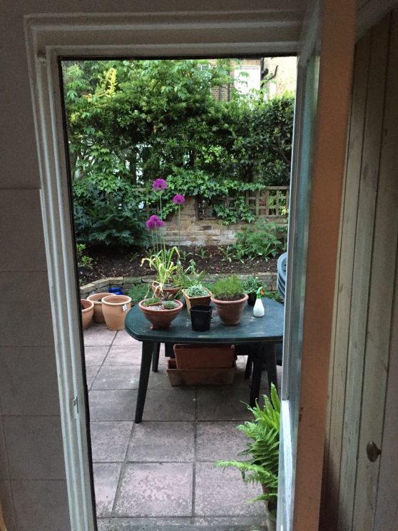 jack-wallington – 9 (1) | Jack Wallington | Nature & Gardens