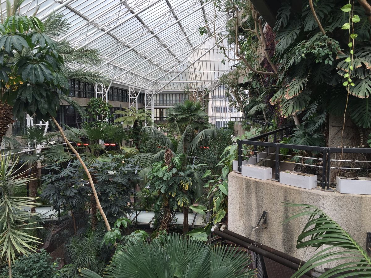 PHOTO GALLERY: Barbican Conservatory, London | Jack Wallington | Nature ...