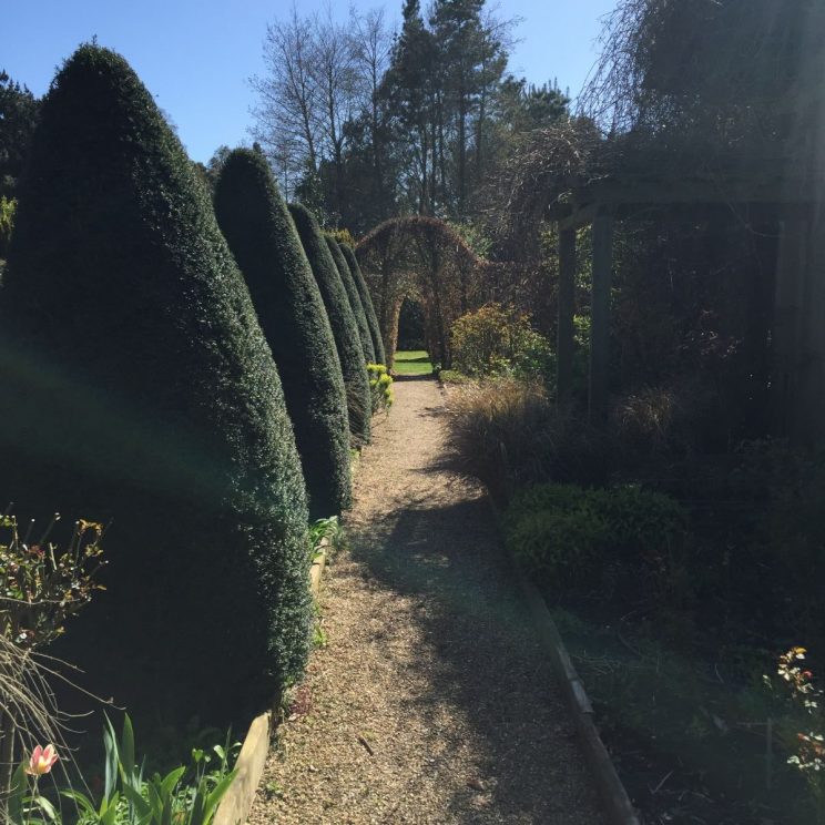 Alan in Wonderland: East Ruston Old Vicarage | Jack Wallington | Nature ...