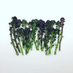 How to grow organic purple sprouting broccoli and cook it | Jack ...