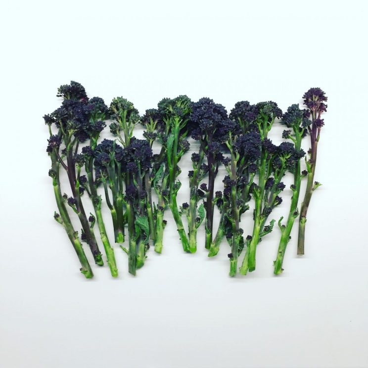 How to grow organic purple sprouting broccoli and cook it | Jack ...