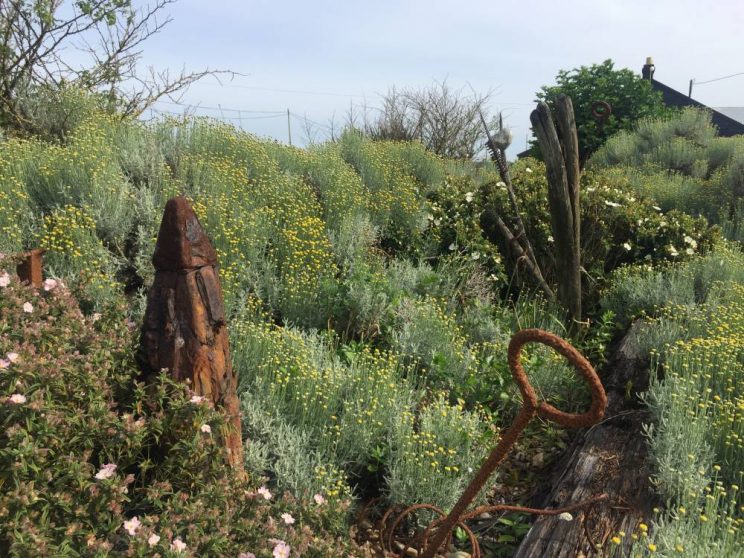 Prospect Cottage, Dungeness, Derek Jarman | Jack Wallington | Nature ...
