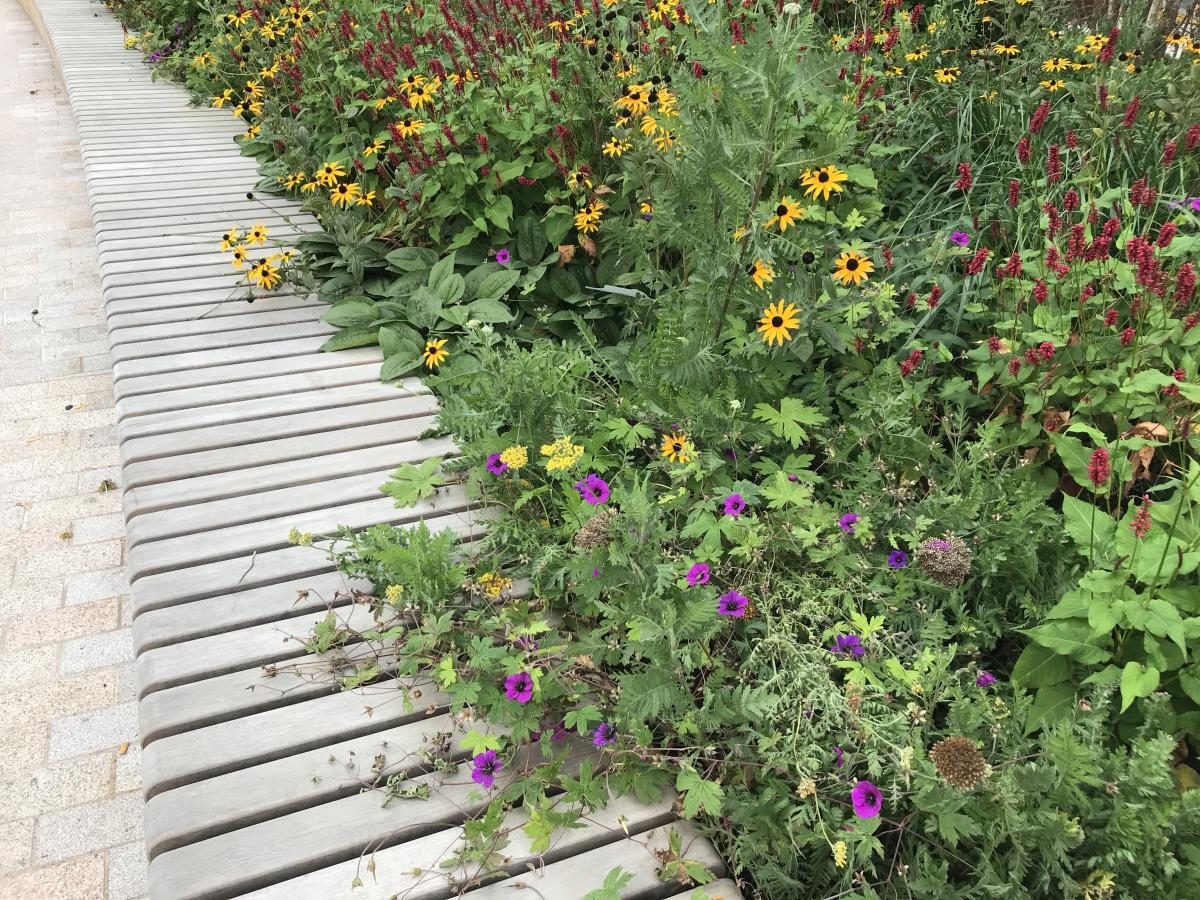 12 Photos that shaped my year | Jack Wallington | Nature & Gardens