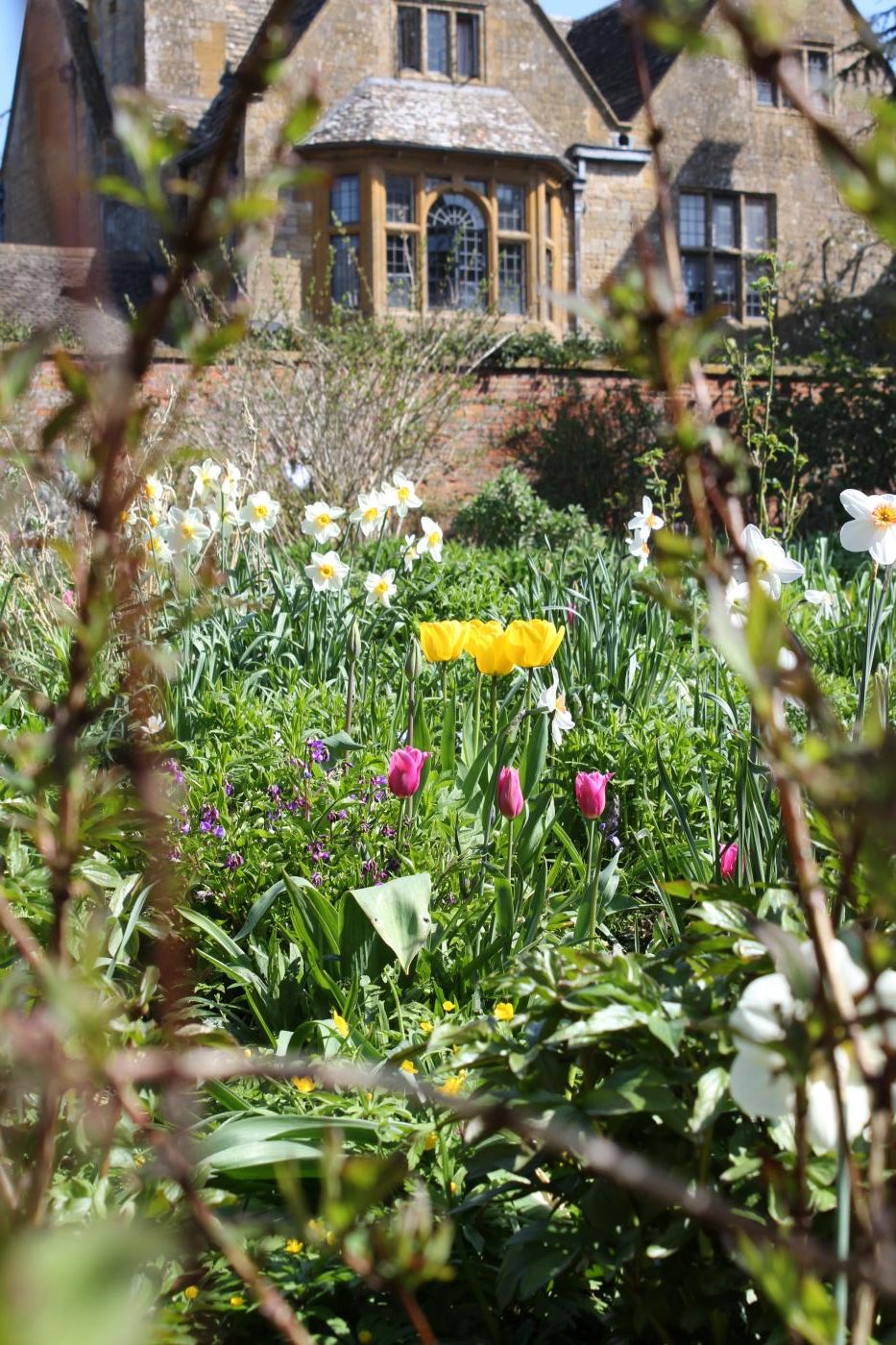 Hidcote Manor, National Trust Garden | Jack Wallington | Nature & Gardens