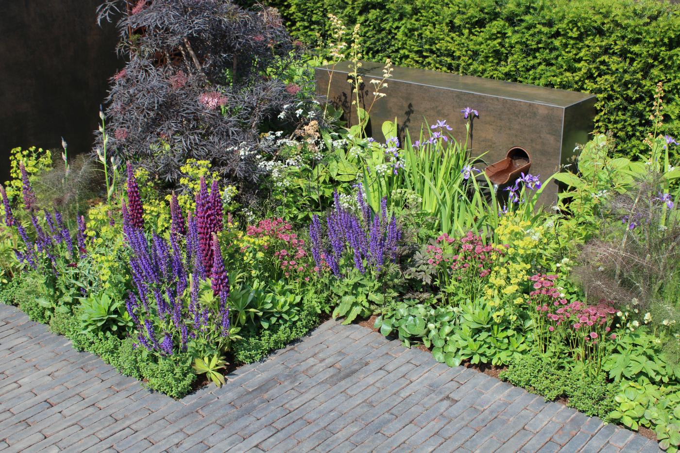 11 Chelsea plant combinations you can try at home | Jack Wallington ...