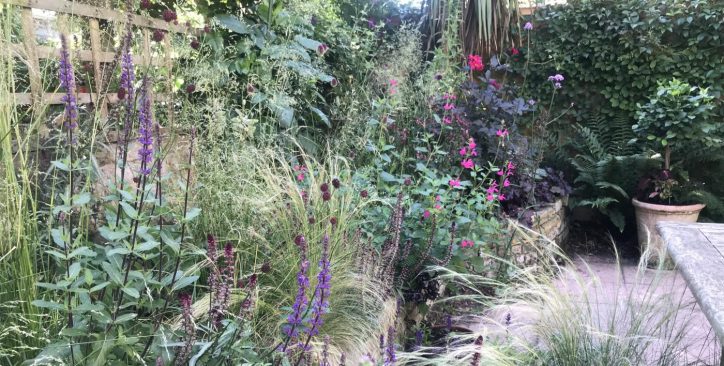 How our long border has evolved over time | Jack Wallington | Nature ...