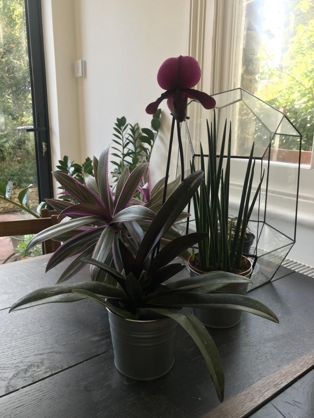 10 no nonsense tips to jazz up your small city garden this summer ...