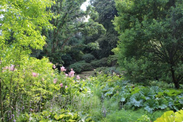 Sir Harold Hillier Arboretum and Gardens | Jack Wallington | Nature ...