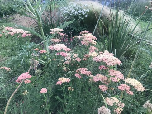 Gallery 008 | Jack Wallington | Nature & Gardens