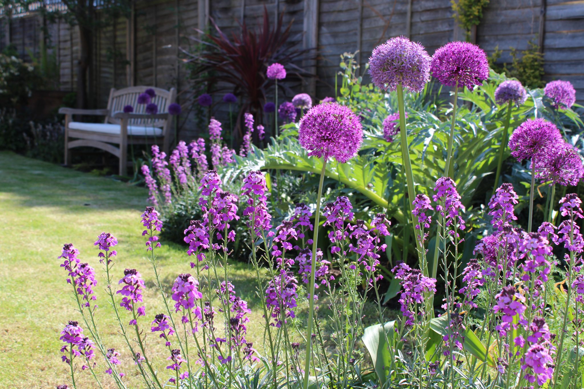 June gardening ideas: summer (month seven) | Jack Wallington Garden ...
