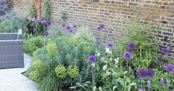 Gallery 008 | Jack Wallington | Nature & Gardens