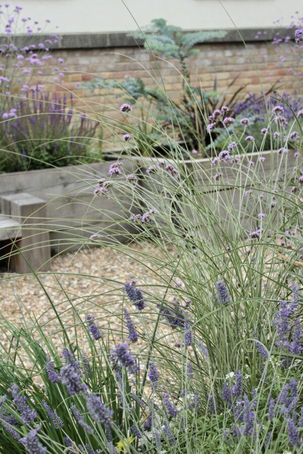 Gallery 008 | Jack Wallington | Nature & Gardens