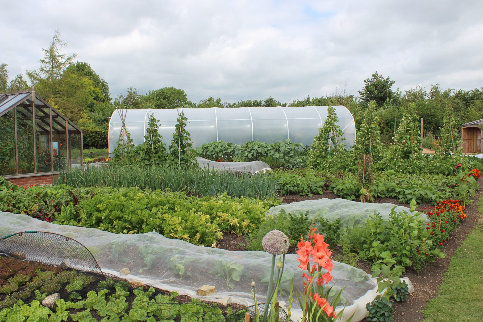 11 things learnt at Homeacres with Charles Dowding and Stephanie ...