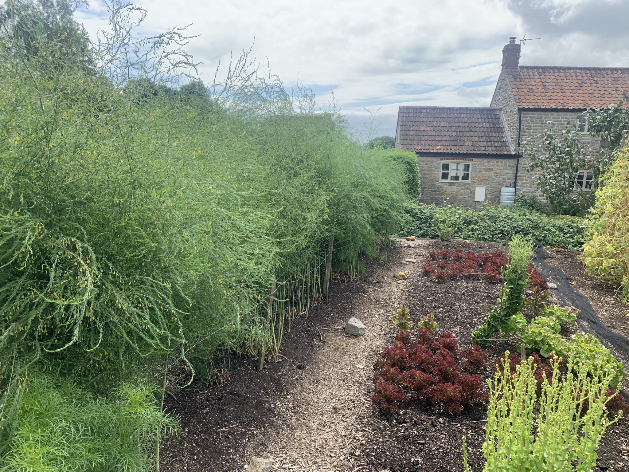 11 things learnt at Homeacres with Charles Dowding and Stephanie ...