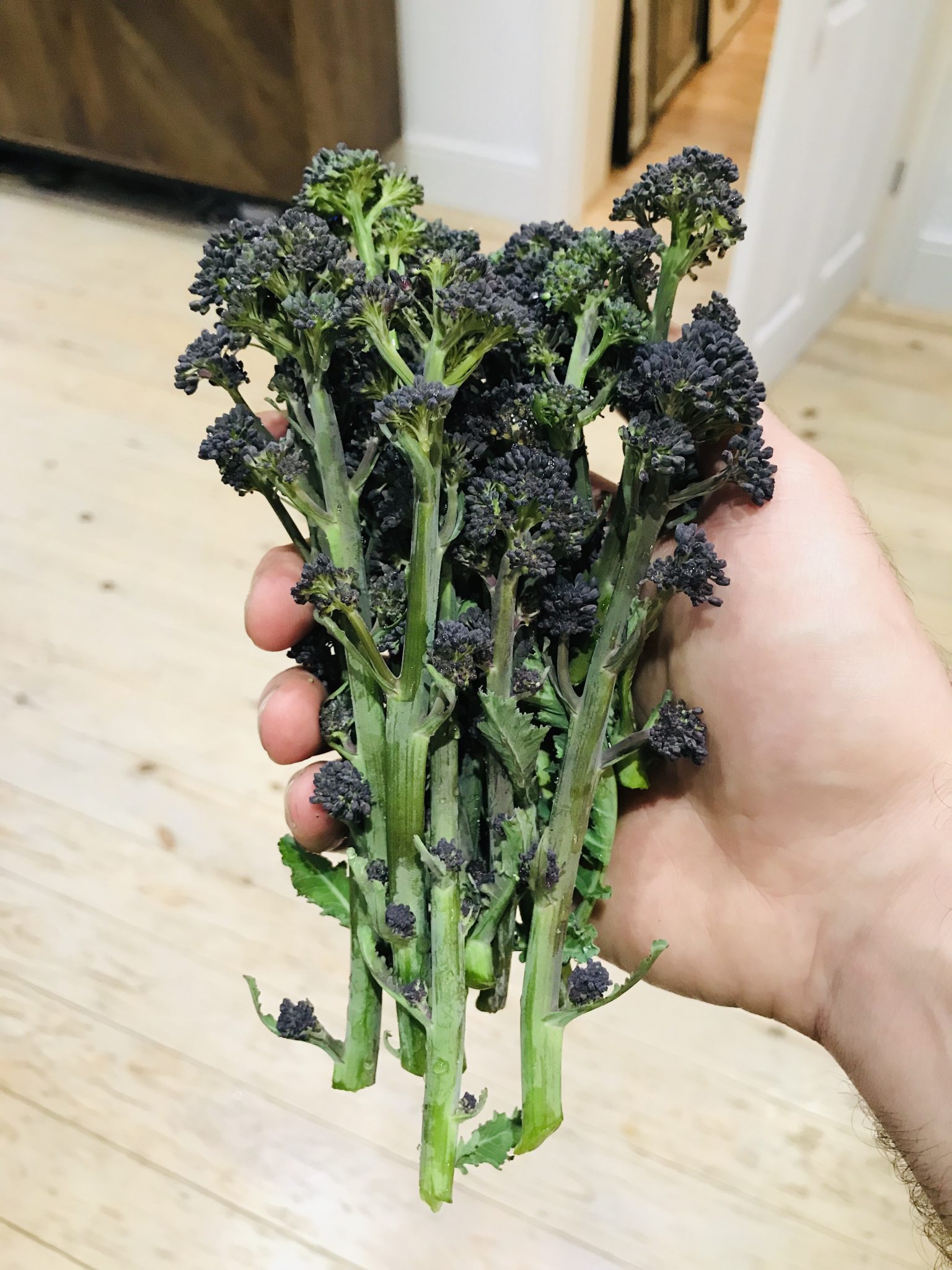 How to grow organic purple sprouting broccoli and cook it | Jack ...