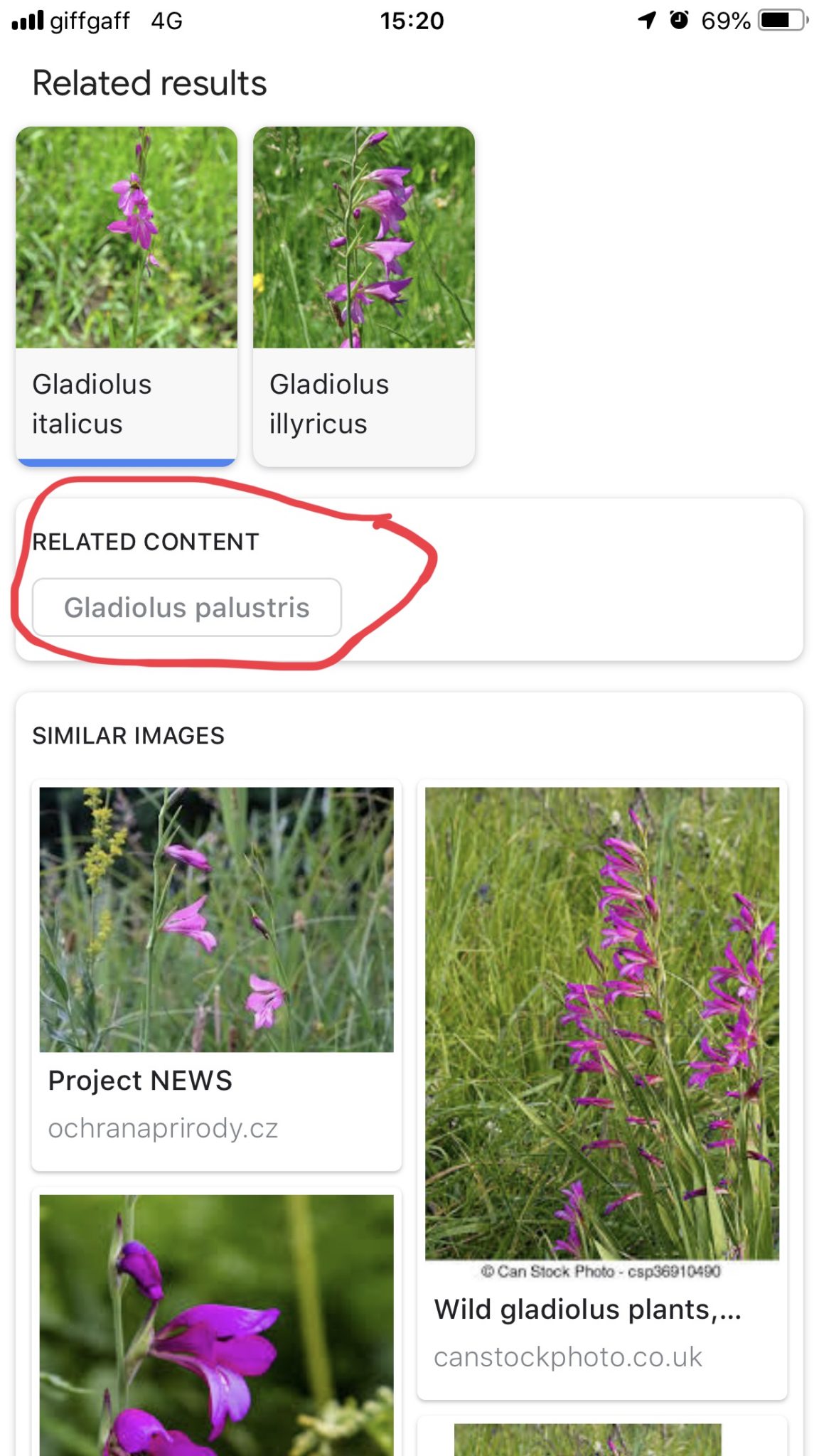 Google Is The Best Plant ID App And It Will Only Get Better Jack