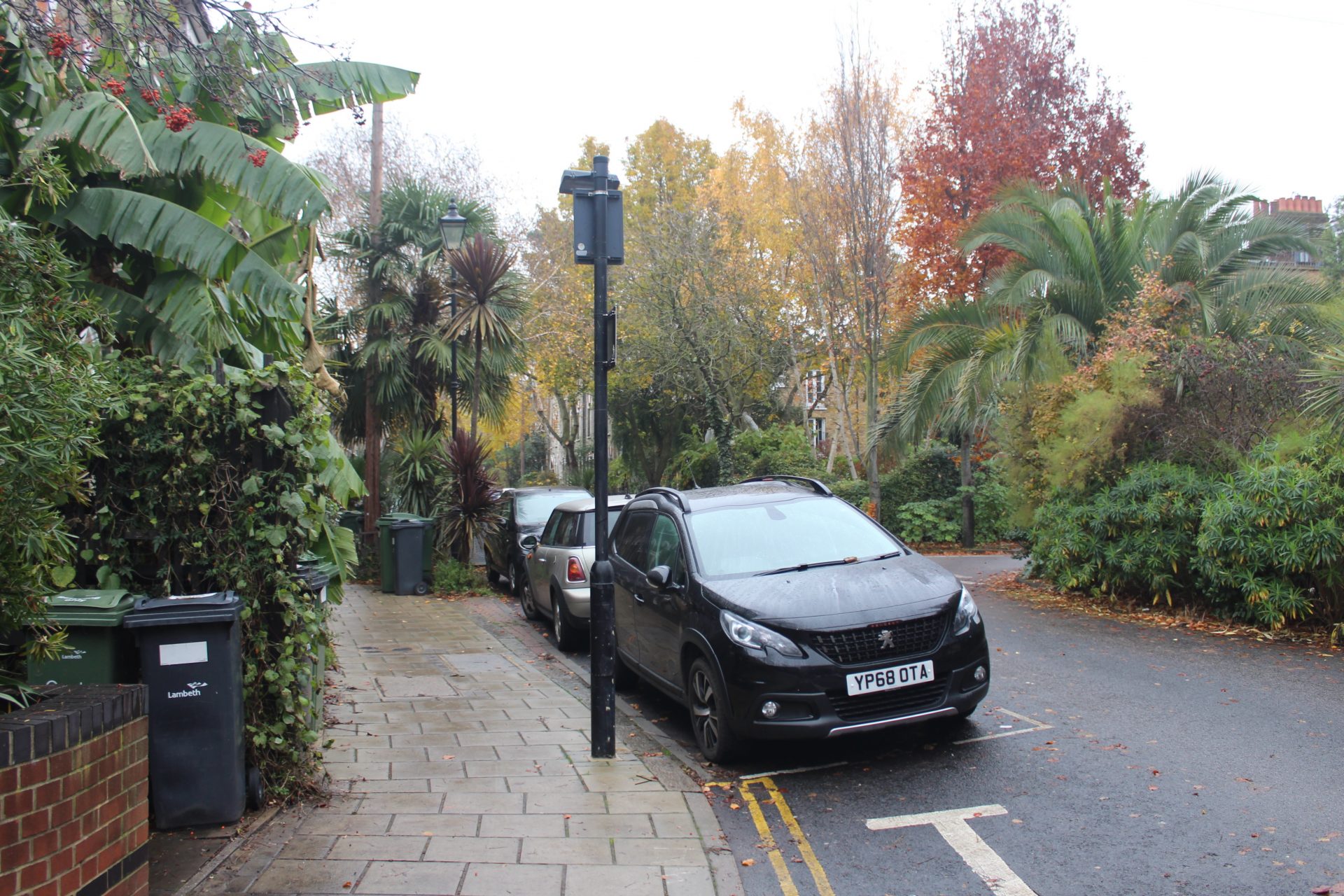 From the streets: Bonnington Square, Vauxhall in Autumn | Jack ...