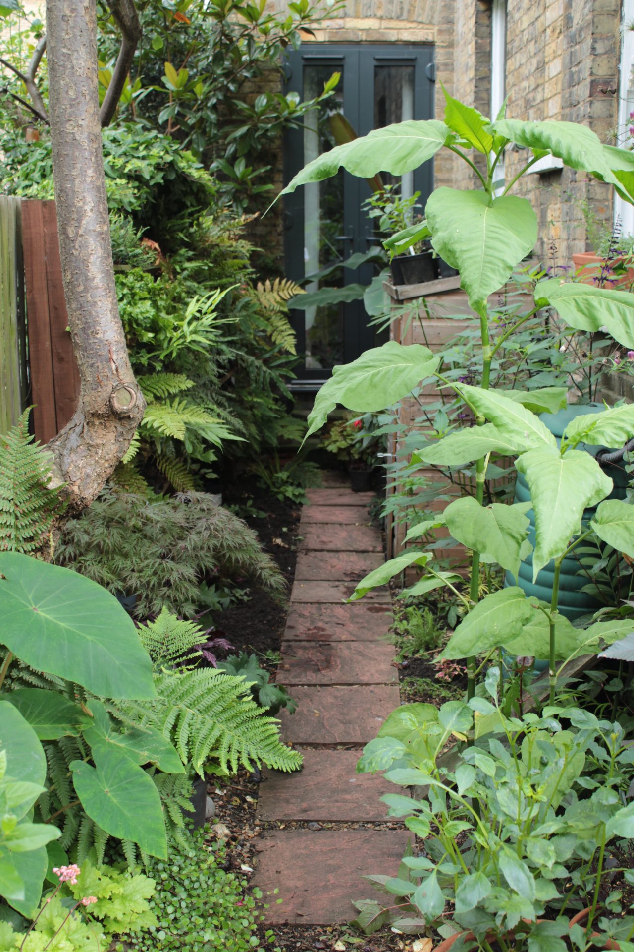 Landscape design portfolio | Jack Wallington Garden Design Ltd.