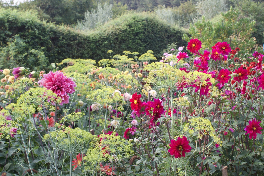 Sarah Raven’s Perch Hill | Jack Wallington | Nature & Gardens