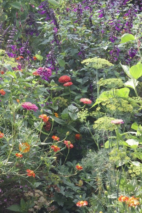 Sarah Raven’s Perch Hill | Jack Wallington | Nature & Gardens