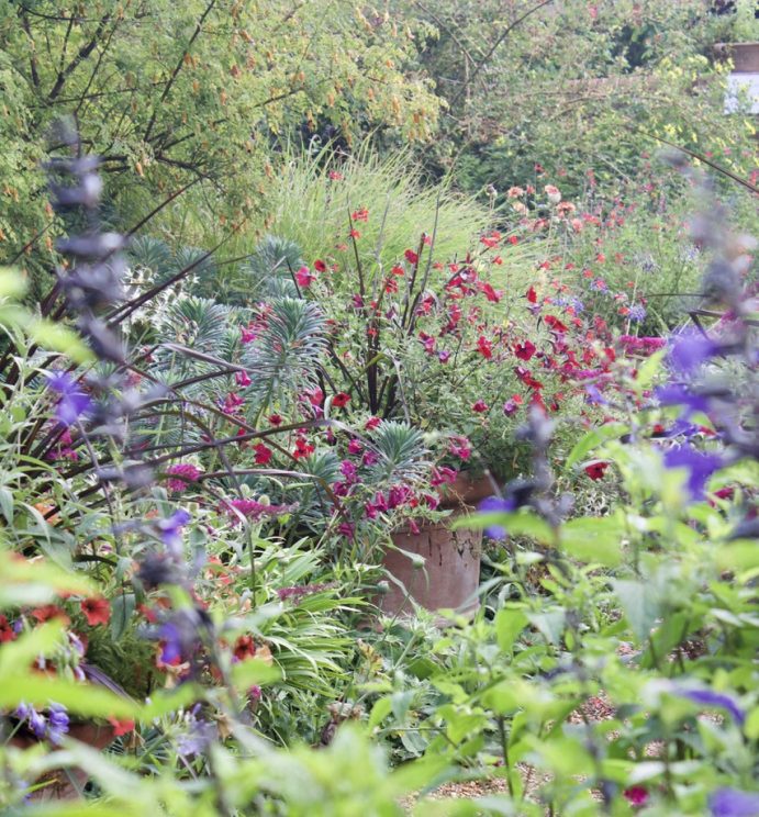 Sarah Raven’s Perch Hill | Jack Wallington | Nature & Gardens