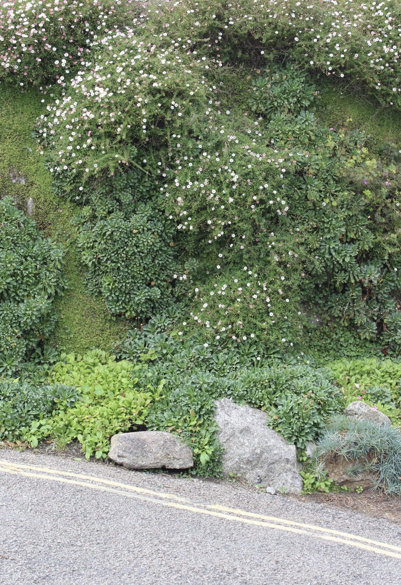 Cornwall: rock and stone | Jack Wallington Garden Design Ltd.