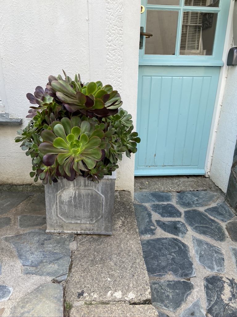 Cornwall: rock and stone | Jack Wallington Garden Design Ltd.