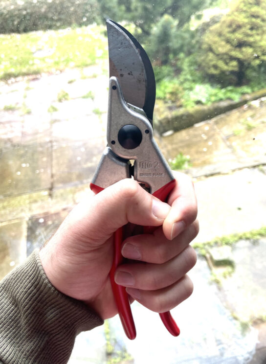 Review: Felco No.2 secateurs | Jack Wallington | Nature & Gardens
