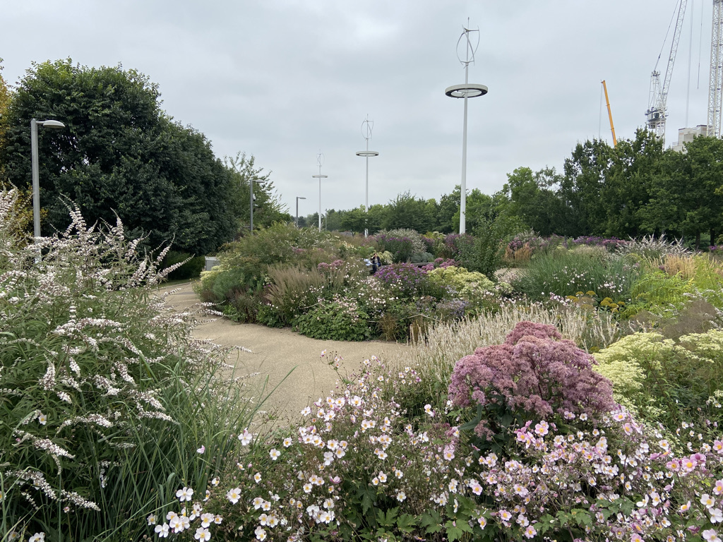 What we can learn from the best urban street plantings | Jack ...