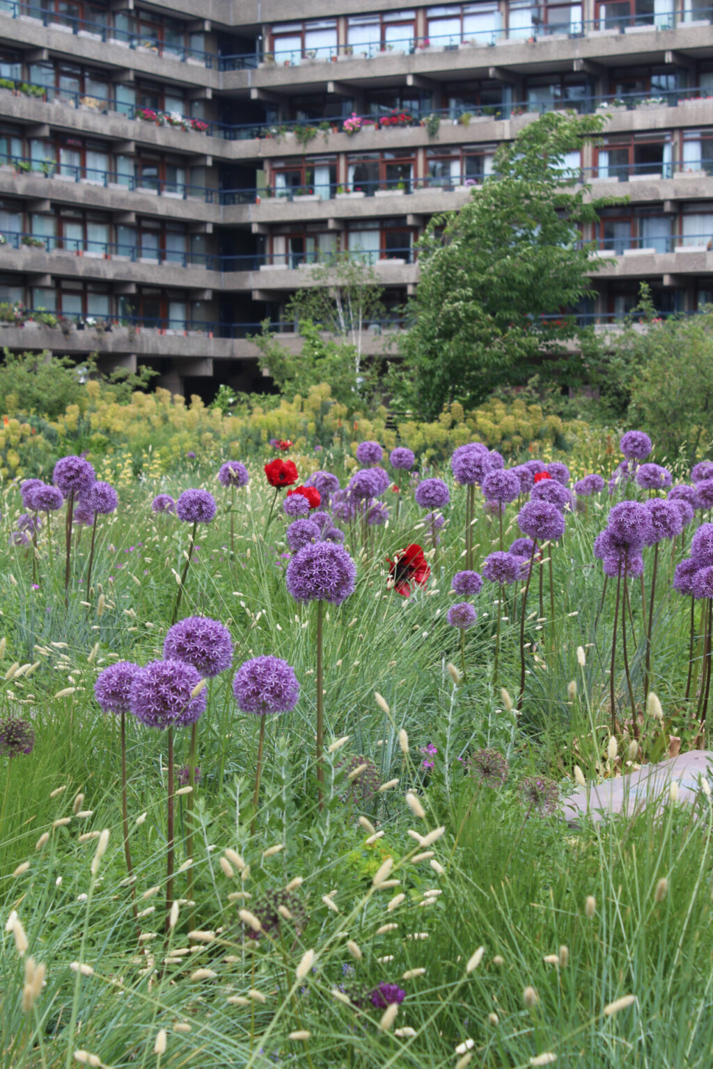 What we can learn from the best urban street plantings | Jack ...