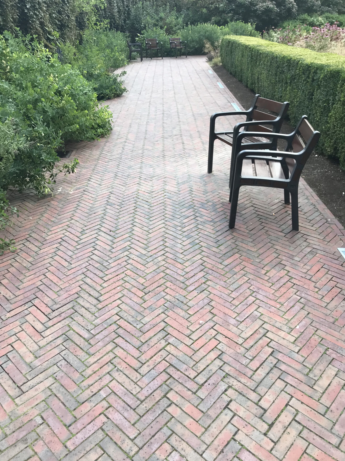 What we can learn from the best urban street plantings | Jack ...