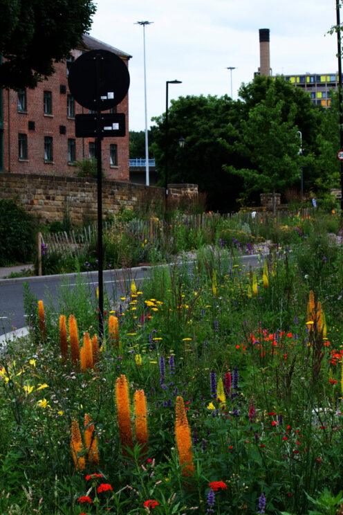 What we can learn from the best urban street plantings | Jack ...