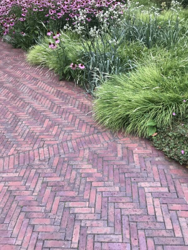 What we can learn from the best urban street plantings | Jack ...