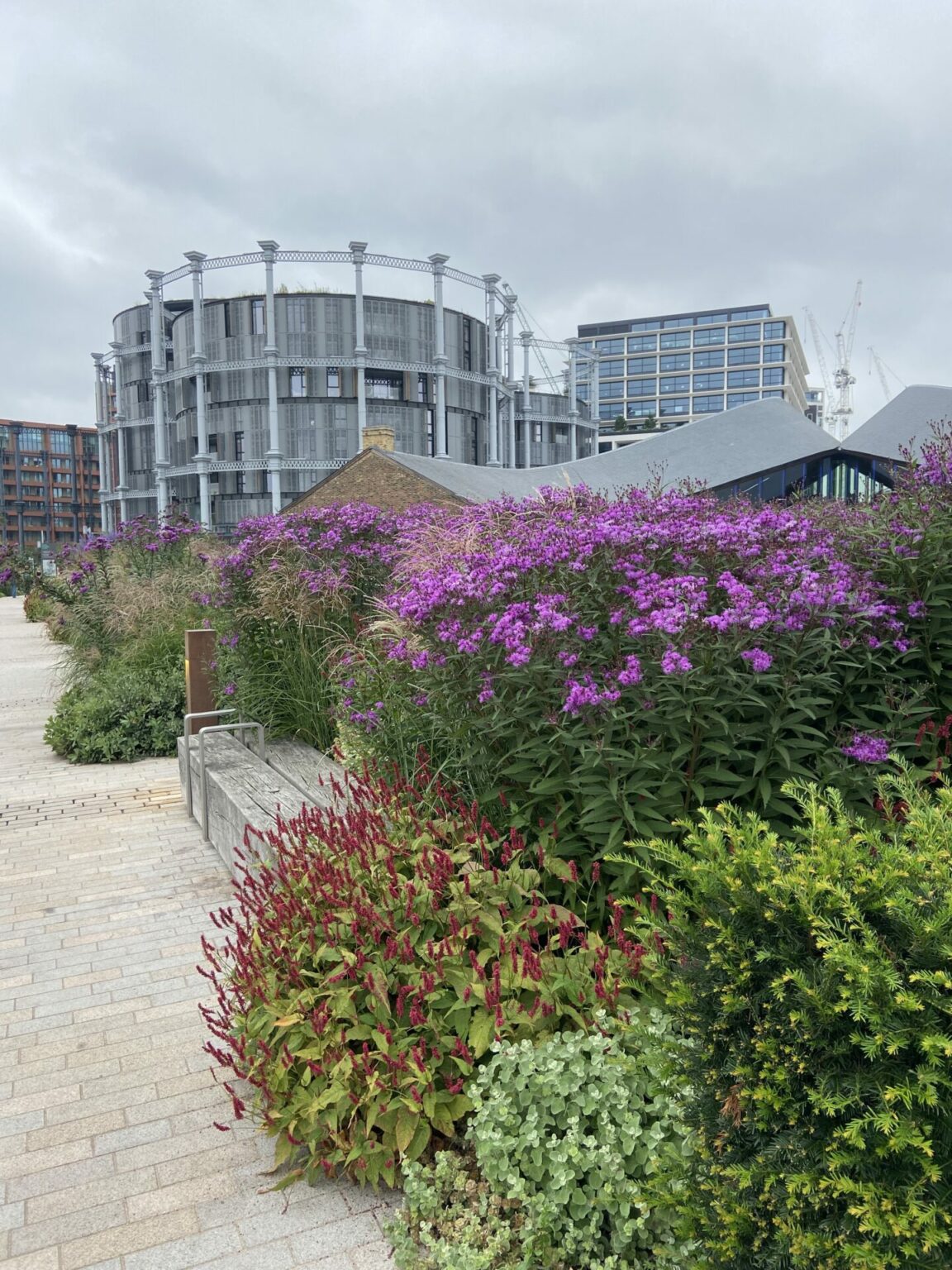 What we can learn from the best urban street plantings | Jack ...