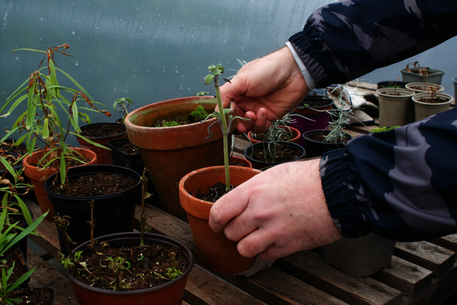 Key features of our new Premiere Polytunnel | Jack Wallington | Nature ...