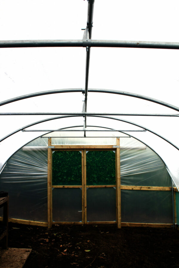 Key features of our new Premiere Polytunnel | Jack Wallington | Nature ...