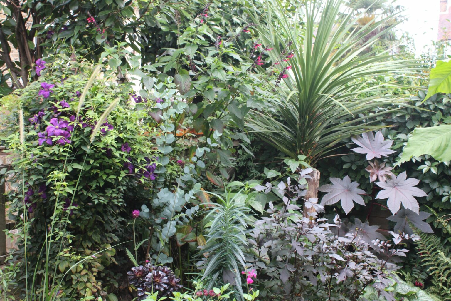 How gardening and nature help me cope with stress and anxiety | Jack ...