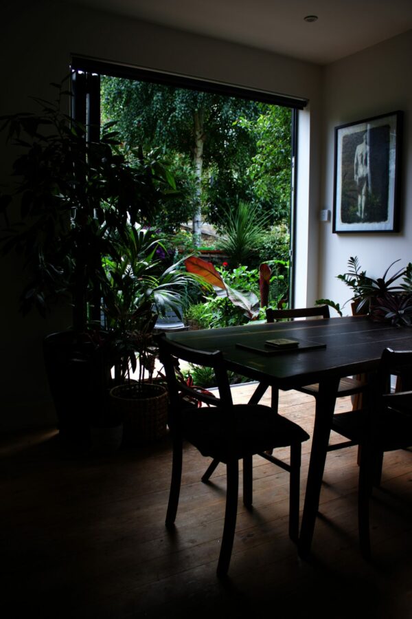 Phoenix bird can fly – small exotic garden | Jack Wallington | Nature ...