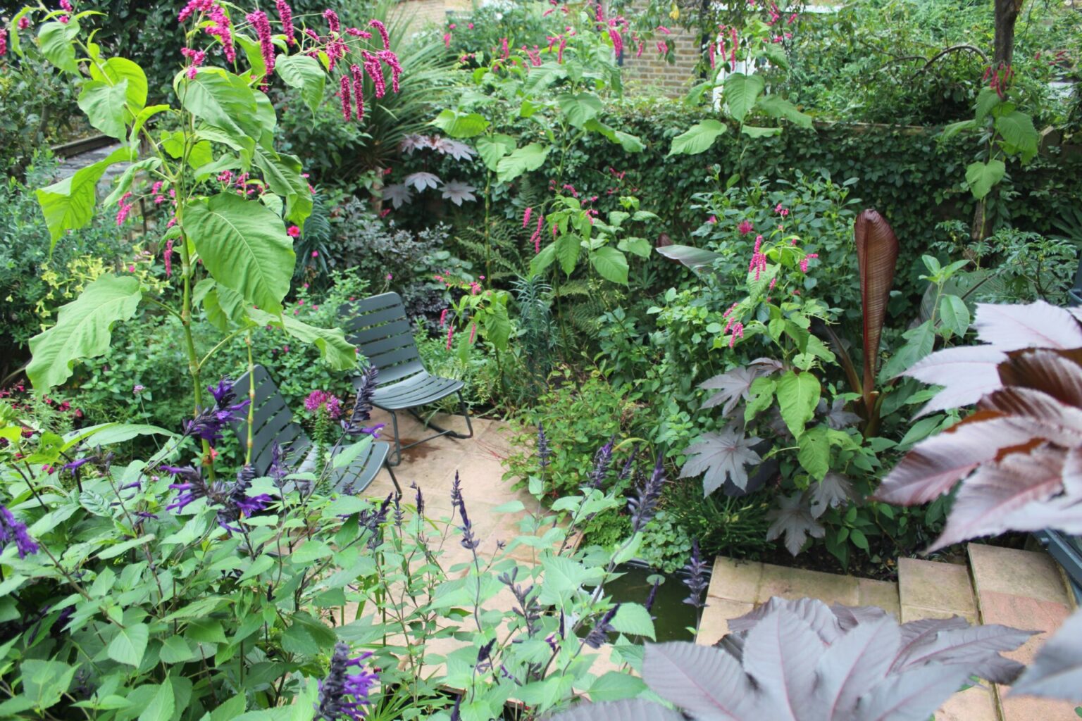 Phoenix bird can fly – small exotic garden | Jack Wallington | Nature ...