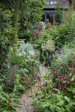 Gallery 009 | Jack Wallington | Nature & Gardens