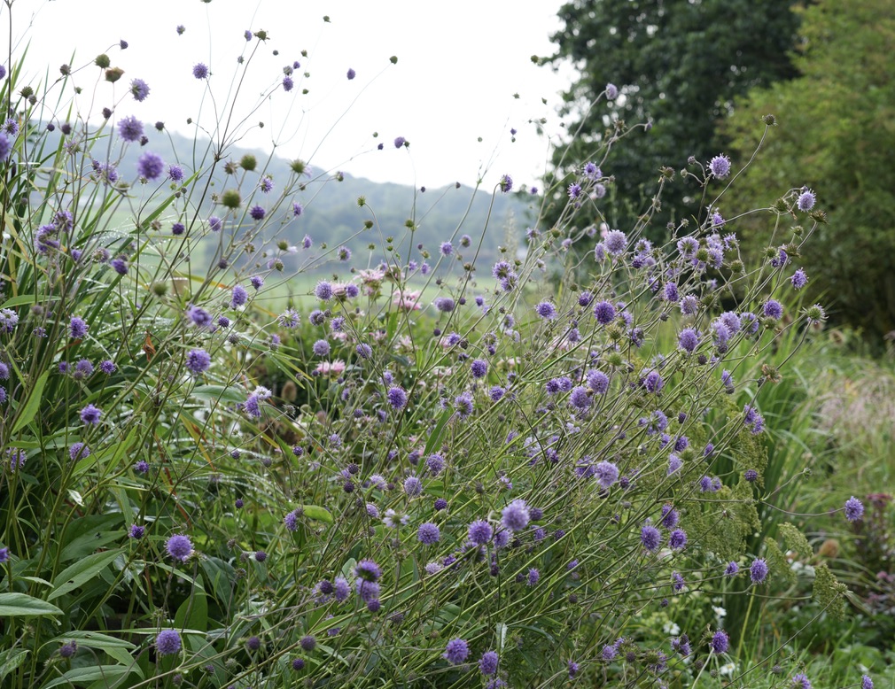 Gallery 007 | Jack Wallington | Nature & Gardens