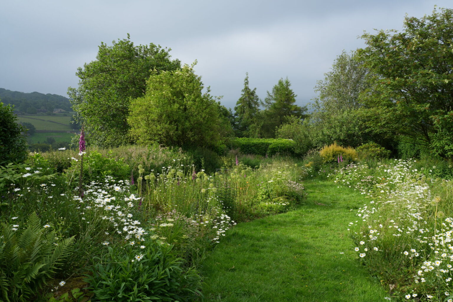 Gallery 000 | Jack Wallington | Nature & Gardens