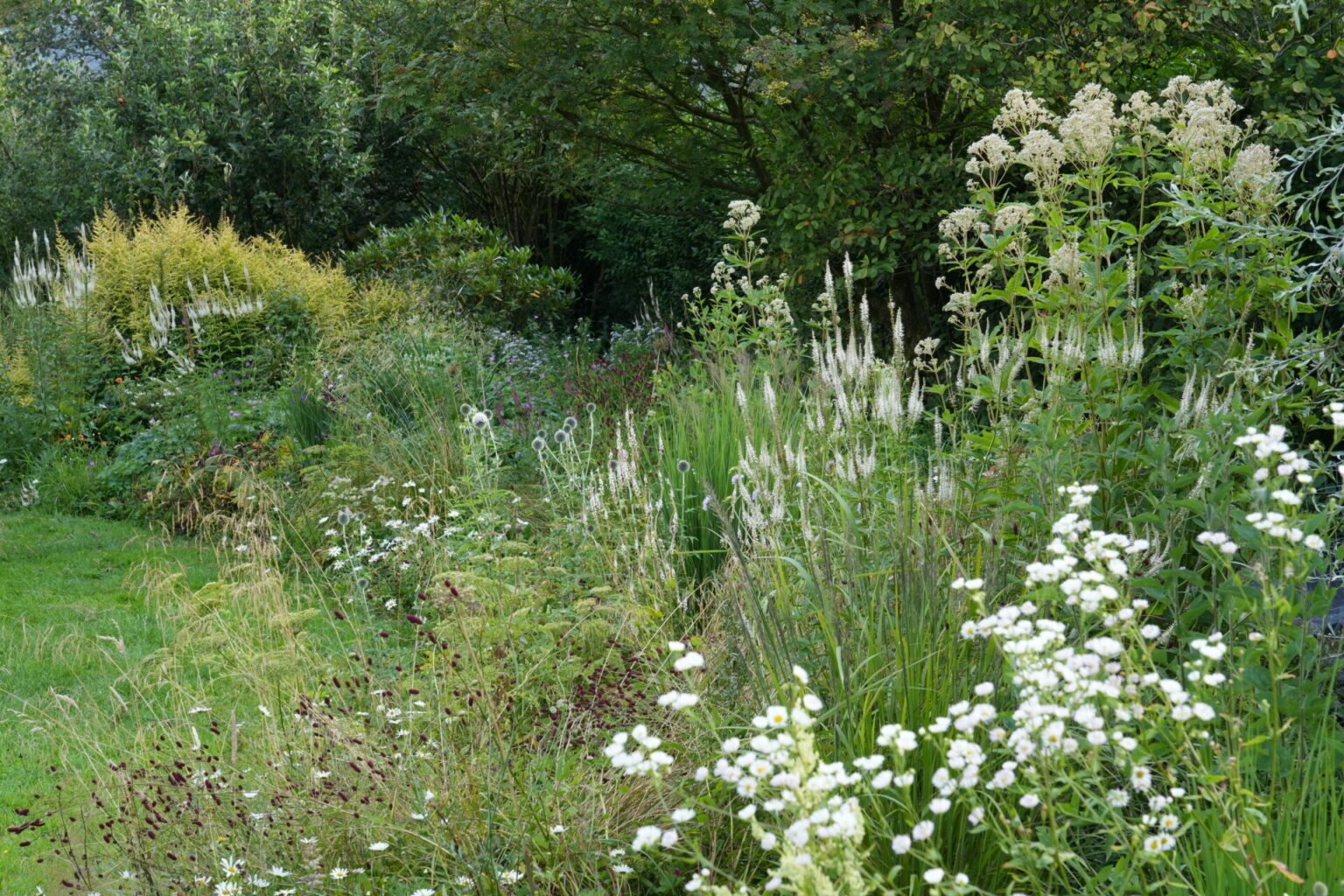 Gallery 000 | Jack Wallington | Nature & Gardens