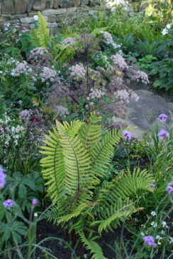 Gallery 004 | Jack Wallington | Nature & Gardens