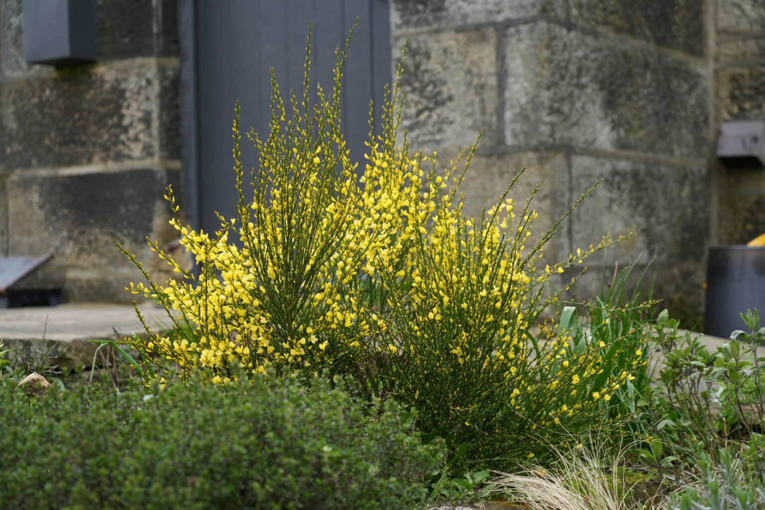 Gallery 000 | Jack Wallington | Nature & Gardens